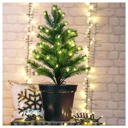 MARELIDA LED Weihnachtsbaum im Blumentopf - 50 warmwei√üen LED - H: 55cm - Batterie - Timer - f√or Au√üen