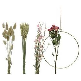 MARELIDA Bastelset DIY - Dekoring mit Trockenblumen und Gr√§sern - Trockenblumenkranz - Aufh√§nger√∂se - D:20cm