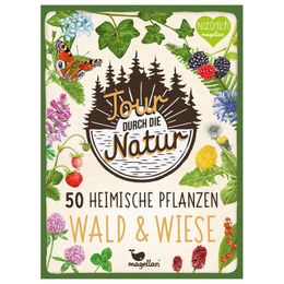 Wissenskarten TOUR DURCH DIE NATUR - 50 HEIMISCHE PFLANZEN