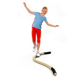 Sport-Thieme Balancetrainer Balancetau