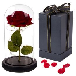 VERK GROUP Geschenkbox Ewige Rose im Glas mit Licht Rose Geschenke für Muttertag