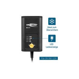 Ansmann AG KFZ-Ladegerät für 2v/6V/12V Autobatterie