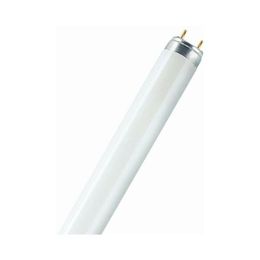 Leuchtstoffröhre G13 36W neutralweiß, dimmbar, weiß matt Leuchtstoffröhren - Osram