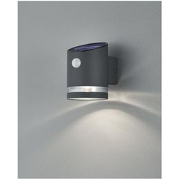 Iperbriko - Salta Led IP44 Anthrazit Außenlampe mit Trio Lighting Bewegungssensor