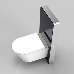 Bernstein - Sanitärmodul 805S mit Sensor für Wand-WC - Farbe Weiß oder Schwarz wählbar Schwarz