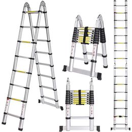 Tragbare und Faltbare Teleskopleiter Schwarz Aluminium Einziehbare Leiter, Belastung 150 Kg - 5,0m (2,5m + 2,5m)