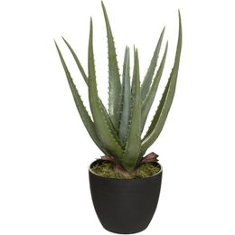 Atmosphera - Kunstpflanze Aloe real touch, h. 44 cm