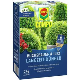Buchsbaum- und Ilex Langzeit-Dünger - 2 kg für ca. 35 m² - Compo
