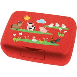 Koziol - Lunchbox 'Farm'