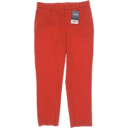 SET Damen Stoffhose, orange