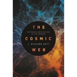 Princeton University Press Cosmic Web - J. Richard Gott, Kartoniert (TB)