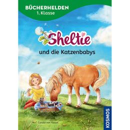 Sheltie, Bücherhelden 1. Klasse, Sheltie und die Katzenbabys - Carola von Kessel, Gebunden