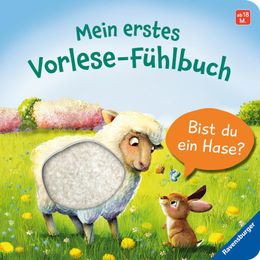 RAVENSBURGER VERLAG Mein erstes Vorlese-Fühlbuch: Bist du ein Hase? - Kathrin Lena Orso, Pappband