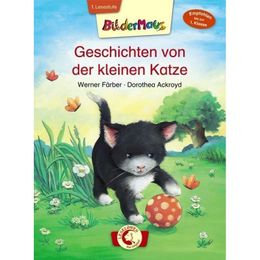 Loewe Verlag Geschichten von der kleinen Katze - Werner Färber, Gebunden