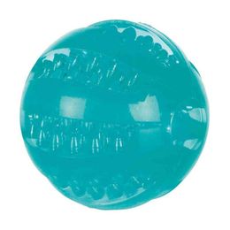 Trixie Tier-Beschäftigungsspielzeug Denta Fun Ball 6cm