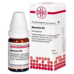 DHU-Arzneimittel Aesculus D 4 Globuli 10 g