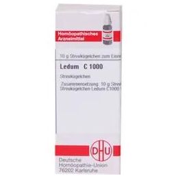DHU-Arzneimittel Ledum C 1000 Globuli 10 g