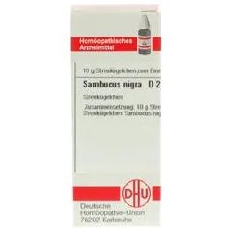 DHU-Arzneimittel Sambucus Nigra D 2 Globuli 10 g