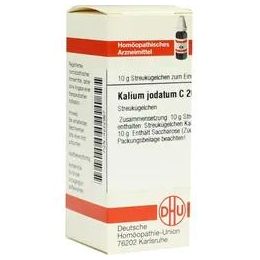 DHU-Arzneimittel Kalium Jodatum C 200 Globuli 10 g