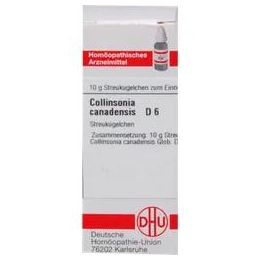 DHU-Arzneimittel Collinsonia Canadensis D 6 Globuli 10 g