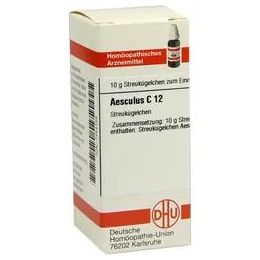 DHU-Arzneimittel Aesculus C 12 Globuli 10 g