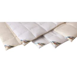 Federbettdecke Ribeco "Überraschungspaket, Bettdecken für Sommer oder Winter" Gr. B/L: 155 cm x 220 cm, normal, weiß Allergiker Bettdecke