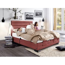 Schlaraffia Boxspringbett LIFESTYLE LINEA