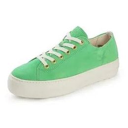 Sneaker Paul Green grün, 38,5