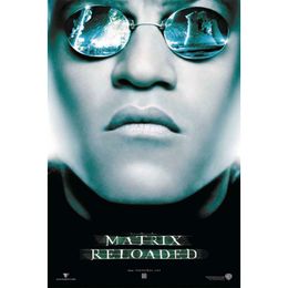 Close Up - Matrix - Reloaded Poster Morpheus (reflecting sunglasses)