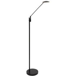 Led Stehleuchte Daphne in Schwarz 7W 700lm - black - Steinhauer