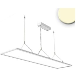 Led Office Hängeleuchte Up+Down, 20+20W, 30x120cm, weiß, - white - Isoled