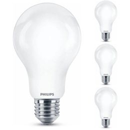 Led Lampe ersetzt 150W, E27 Birne A67, weiß, warmweiß, 2452 Lumen, nicht dimmbar, 4er Pack - white - Philips