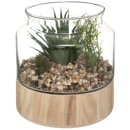 Atmosphera - Terrarium für künstliche Pflanzen - Glastopf - H17 -5 cm Transparent