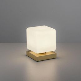 Led Tischleuchte Dadoa in Gold 5W 580lm - yellow - Paul Neuhaus