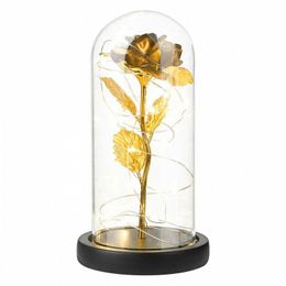 Northix - Infinity Rose mit Lichterketten - Gold / Schwarz