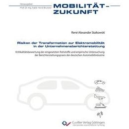 Risiken Der Transformation Zur Elektromobilität In Der Unternehmensberichterstattung. Kritikalitätsbewertung Der Eingesetzten Rohstoffe Und Empirische