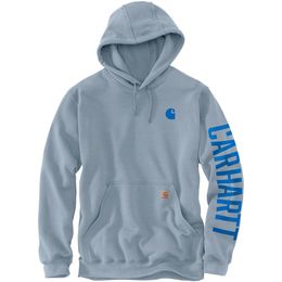 Carhartt Rain Defender C Graphic, Kapuzenpullover