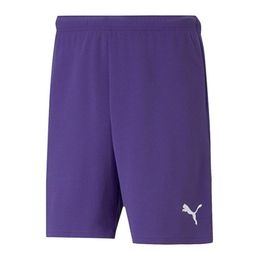 Puma Sporthose teamRISE Short