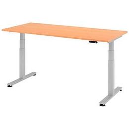 Hammerbacher XDSM19 elektrisch höhenverstellbarer Schreibtisch buche rechteckig, T-Fuß-Gestell silber 180,0 x 80,0 cm