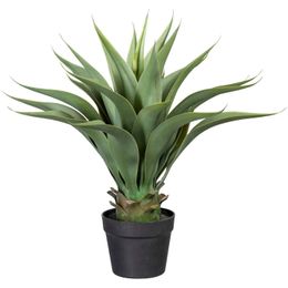 Künstliche Zimmerpflanze Agave Agave, Creativ green, Höhe 57 cm, grau|grün