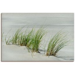 Artland Leinwandbild Gräser am Strand, Strandbilder (1 St), auf Keilrahmen gespannt, beige