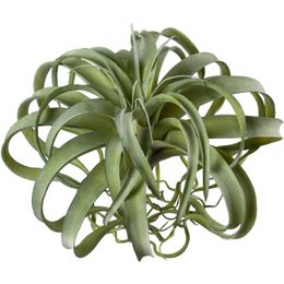 Kunstpflanze Tillandsie, Creativ green, Höhe 35 cm, grau|grün