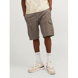 Jack & Jones Jack & Jones Cargoshorts JPSTJOE JJCARGO SHORTS, braun