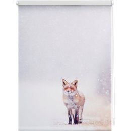 Seitenzugrollo Klemmfix Motiv Fuchs im Schnee, LICHTBLICK ORIGINAL, Lichtschutz, ohne Bohren, freihängend, Klemmfix, bedruckt, rot|weiß