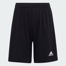 Adidas Entrada 22 Shorts