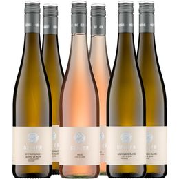 Weingut Tobias Geiger Tobias Geiger 2022 Sommer-Paket