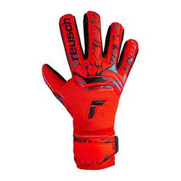 Reusch Torwarthandschuhe Attrakt Grip Evolution Finger Support 2023 TW-Handschuhe