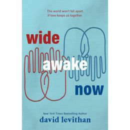Penguin Random House Wide Awake Now - David Levithan, Gebunden