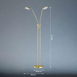 Fischer und Honsel LED-Stehleuchte Pool, messingfarben, Höhe 160 cm, 2-flg.