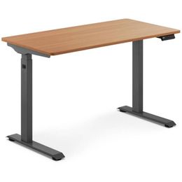 FROMM & STARCK Schreibtisch höhenverstellbar 73 - 123 cm Stehschreibtisch braun/grau